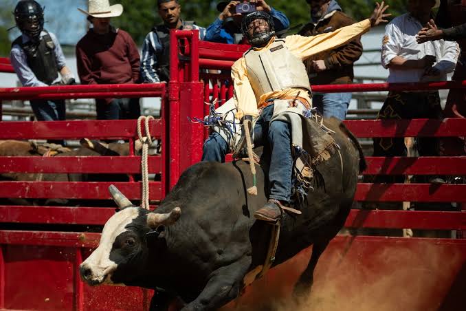For bull riders at a Maryland rodeo, it all comes down to eight seconds
